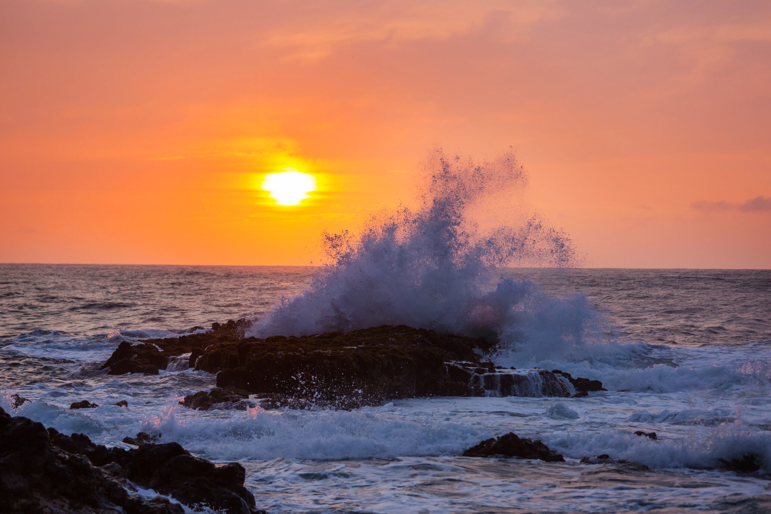 Bay Area Events | January 2024 - Carolyn Bird Bay Area Events | January 2024 - Carolyn Bird