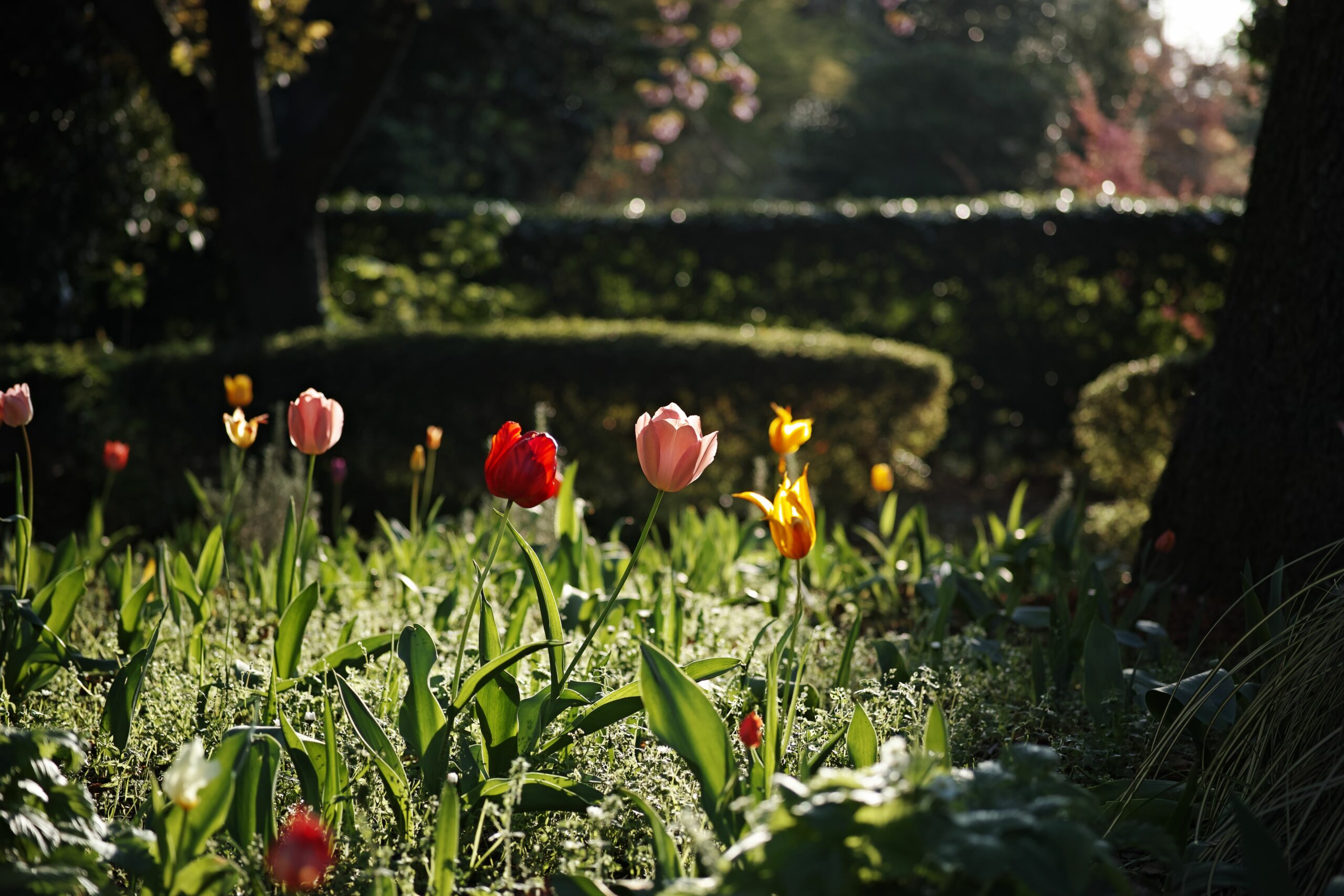 Bay Area Events | March 2024 - Carolyn Bird Bay Area Events | March 2024 - Carolyn Bird